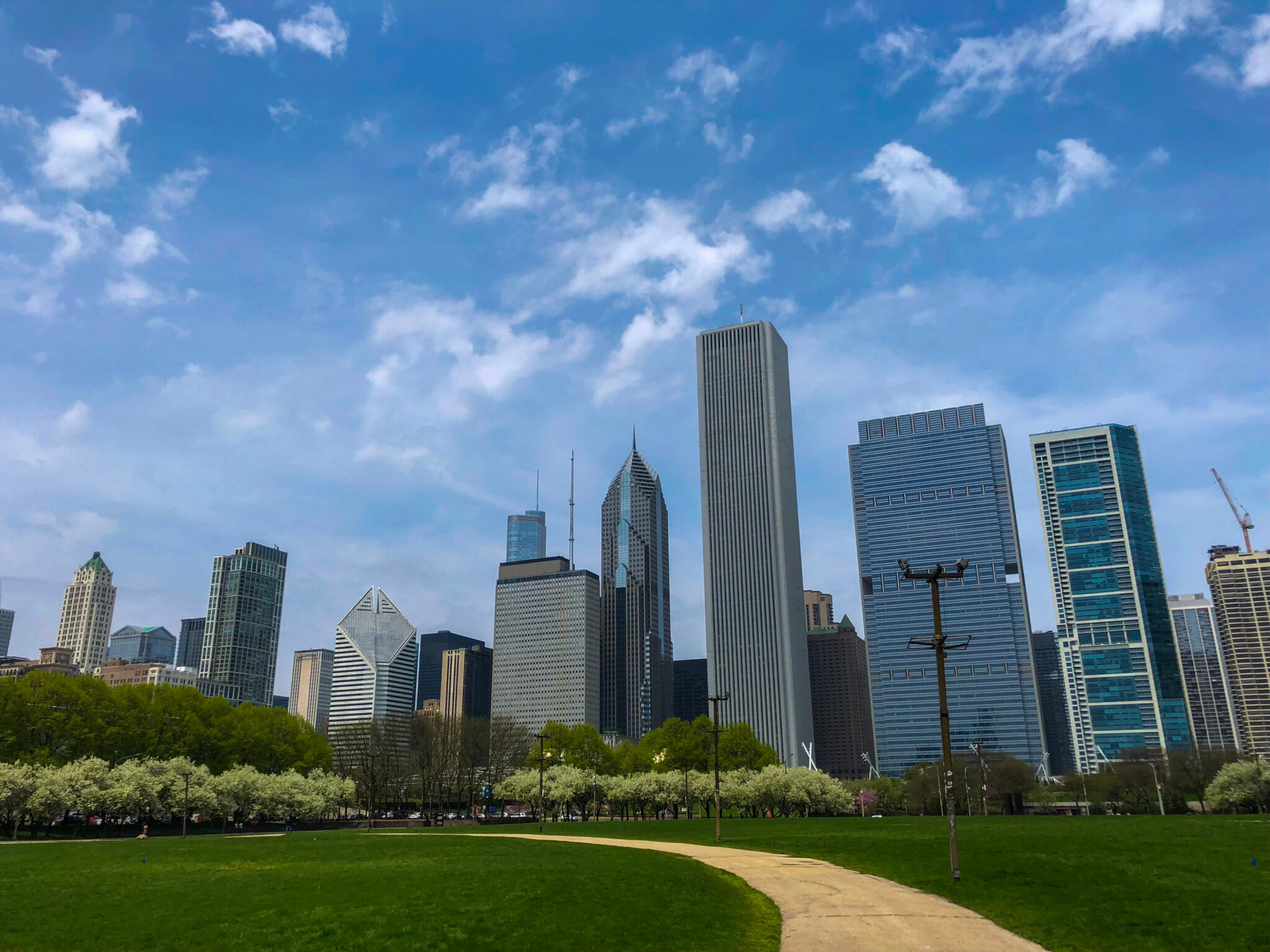 2026 Illinois RN License Renewal: Complete Guide + Requirements